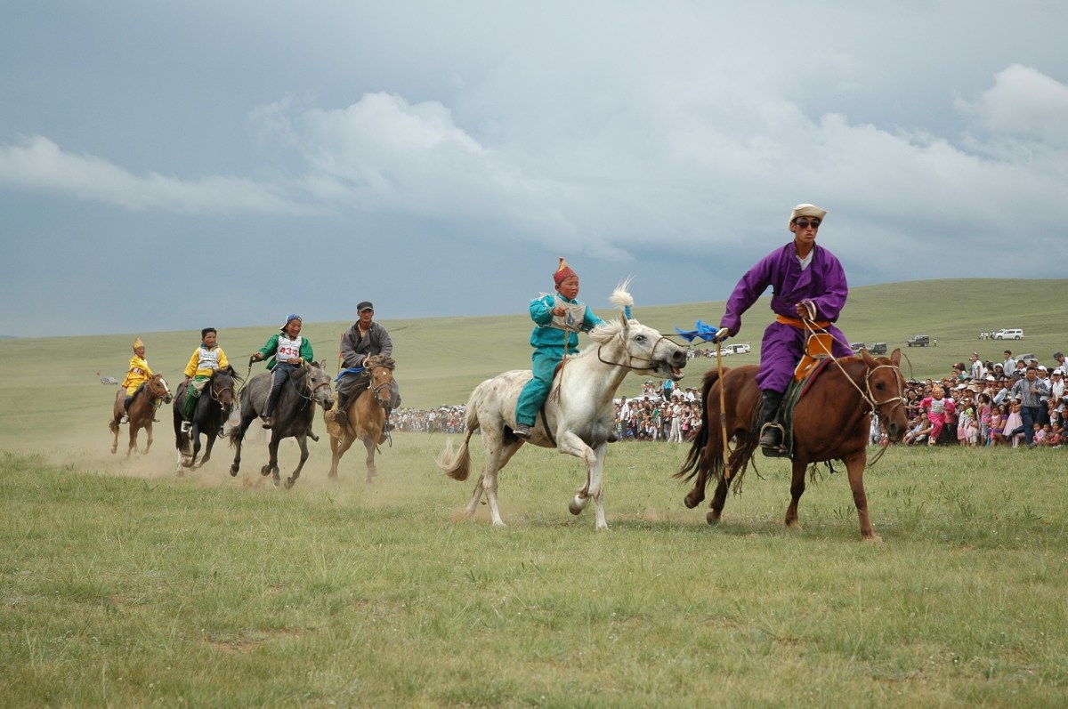 Running with the horses. . . | Nomadic Pages